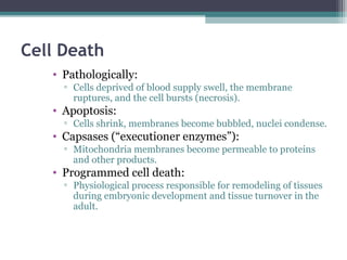 Cell structure | PPT | Biological Sciences | Science