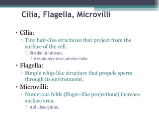 Cell structure | PPT | Biological Sciences | Science