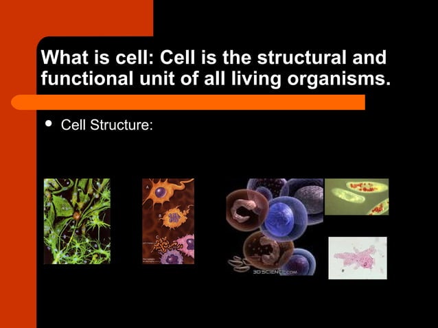 Cell structure | PPT | Biological Sciences | Science