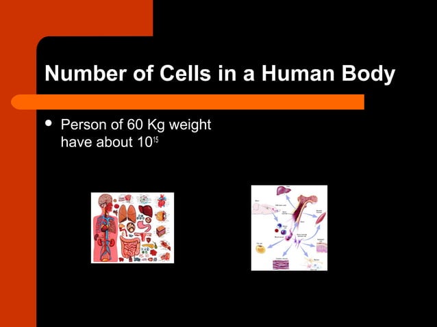 Cell structure | PPT | Biological Sciences | Science