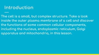 Cell Structure | PPTX
