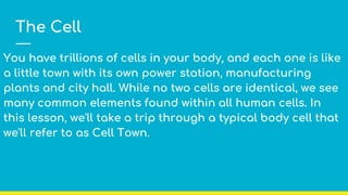Cell Structure | PPTX