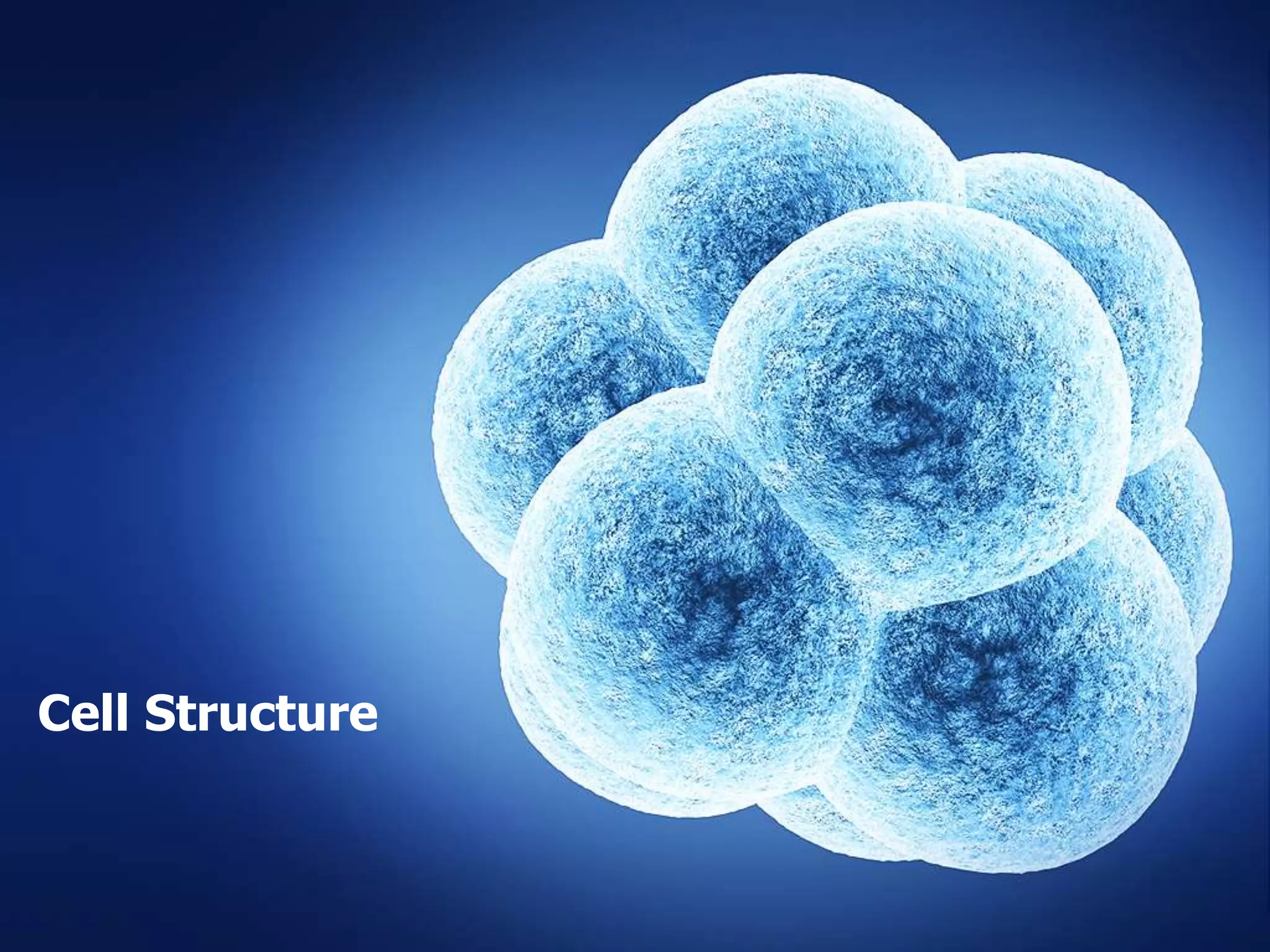 Cell structure | PPT