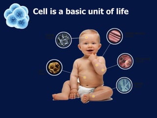 Cell structure | PPT