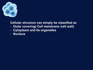 Cell structure | PPT