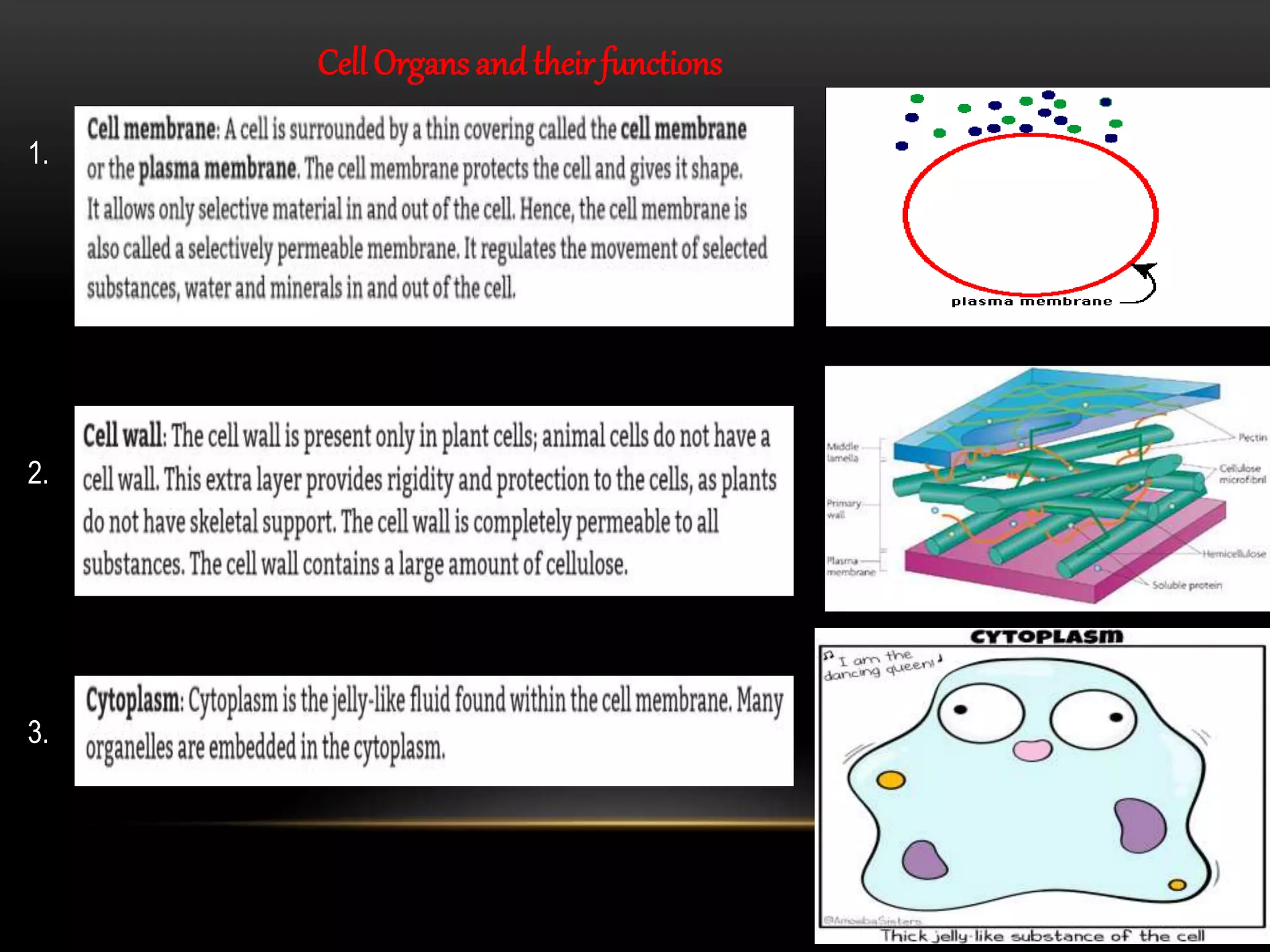 CELL STRUCTURE | PPT