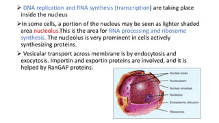 CELL STRUCTURE.pptx