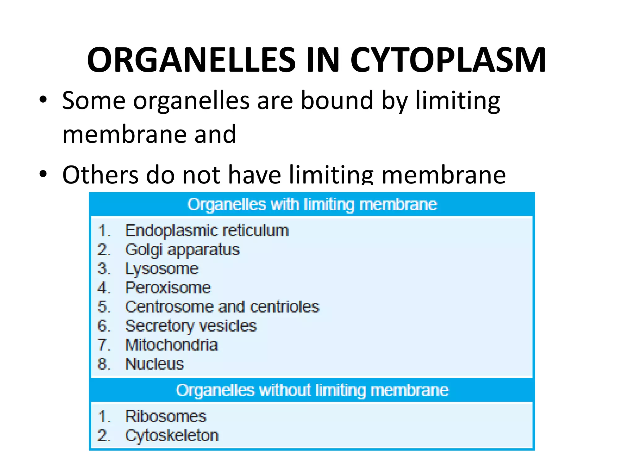 cell structure.pptx