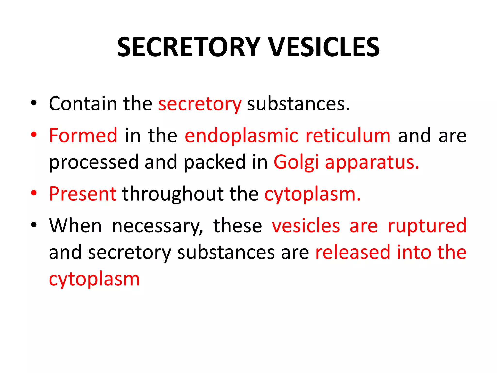 cell structure.pptx