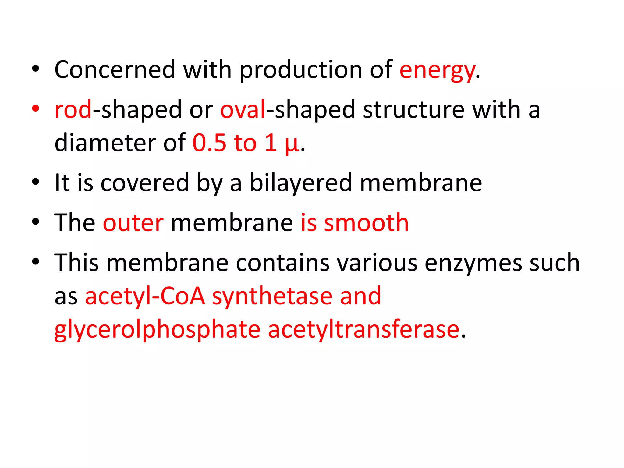 cell structure.pptx