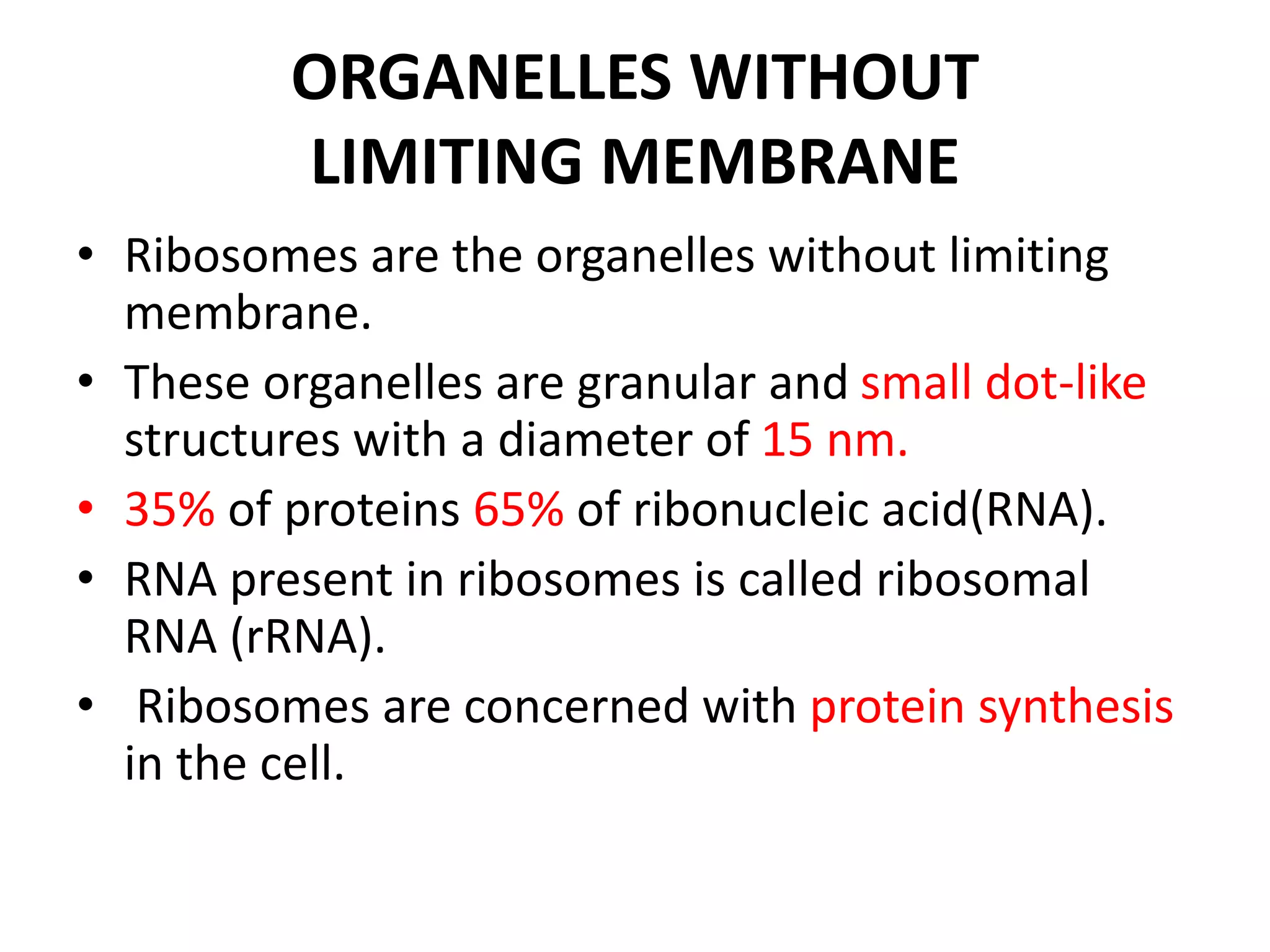cell structure.pptx