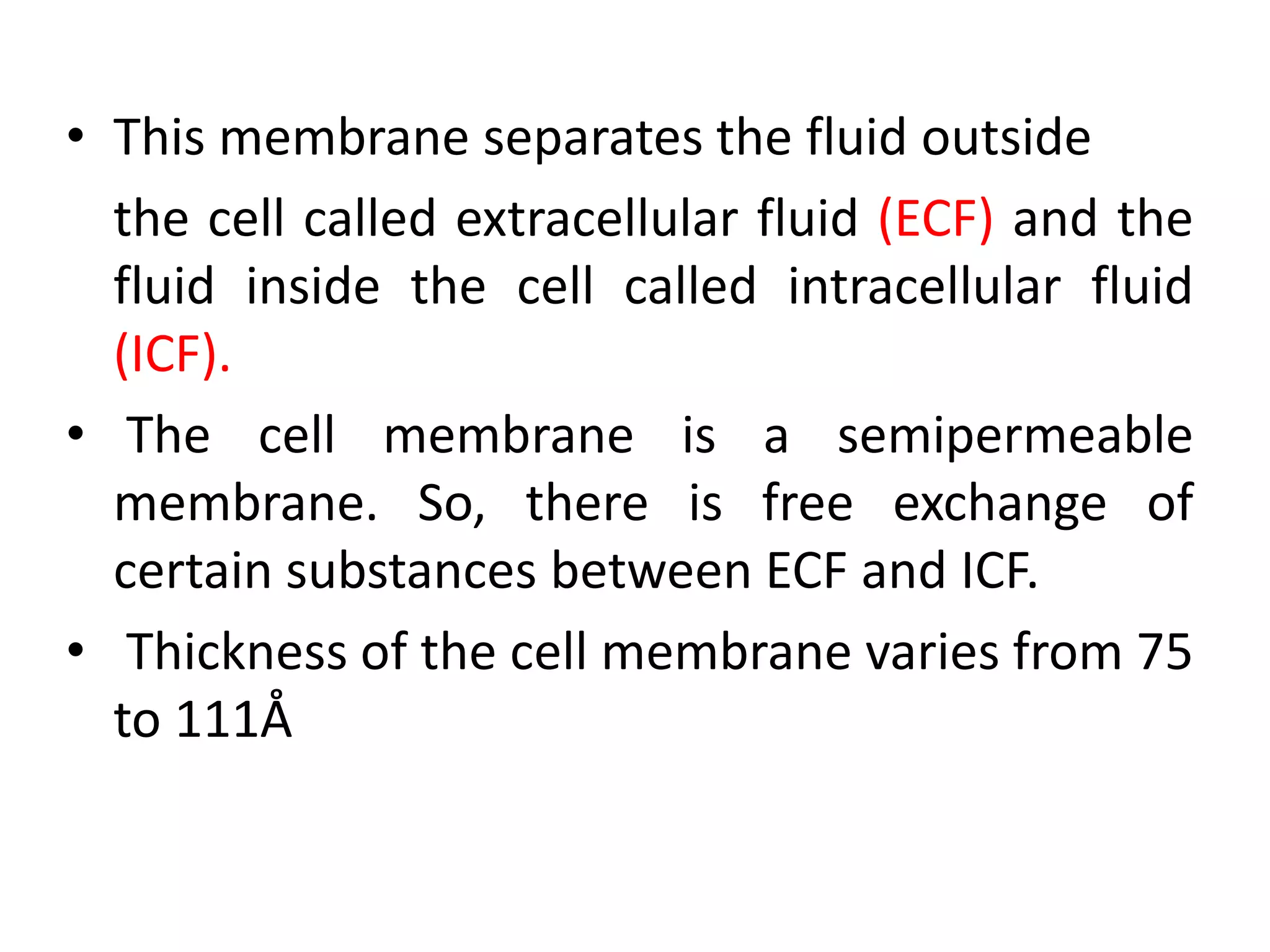 cell structure.pptx