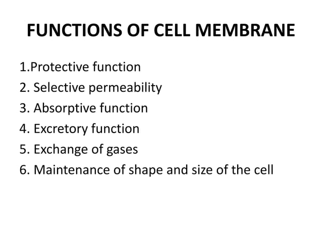 cell structure.pptx