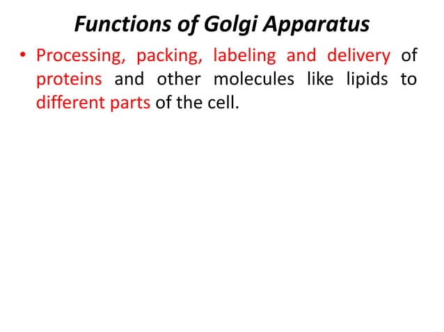 cell structure.pptx