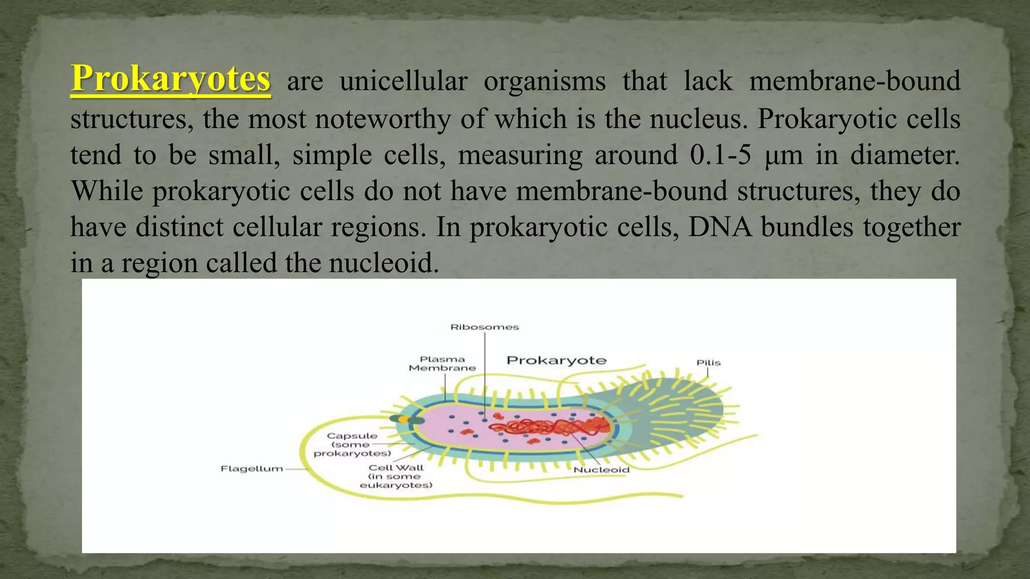 Cell structure.pptx