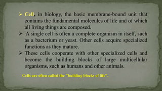 Cell structure.pptx