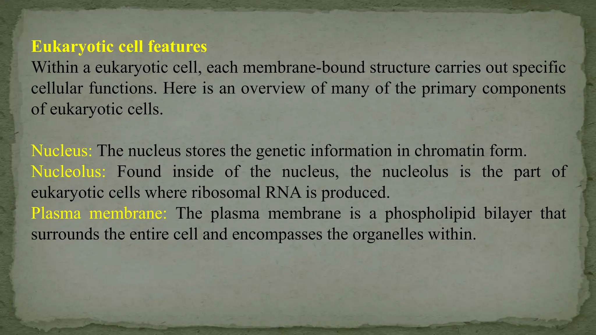 Cell structure.pptx