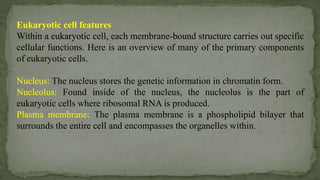 Cell structure.pptx