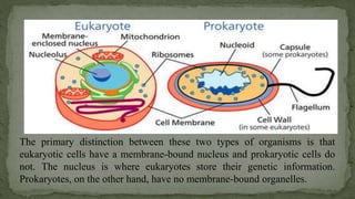 Cell structure.pptx