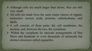 Cell structure.pptx