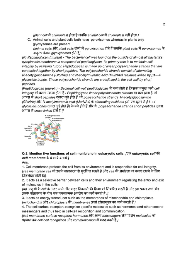 Cell structure & function | IGNOU Biochemitry • CHE9 (English/Hinglish) | PDF
