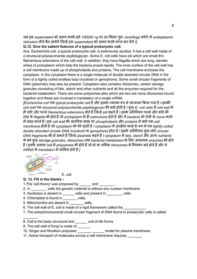 Cell structure & function | IGNOU Biochemitry • CHE9 (English/Hinglish) | PDF