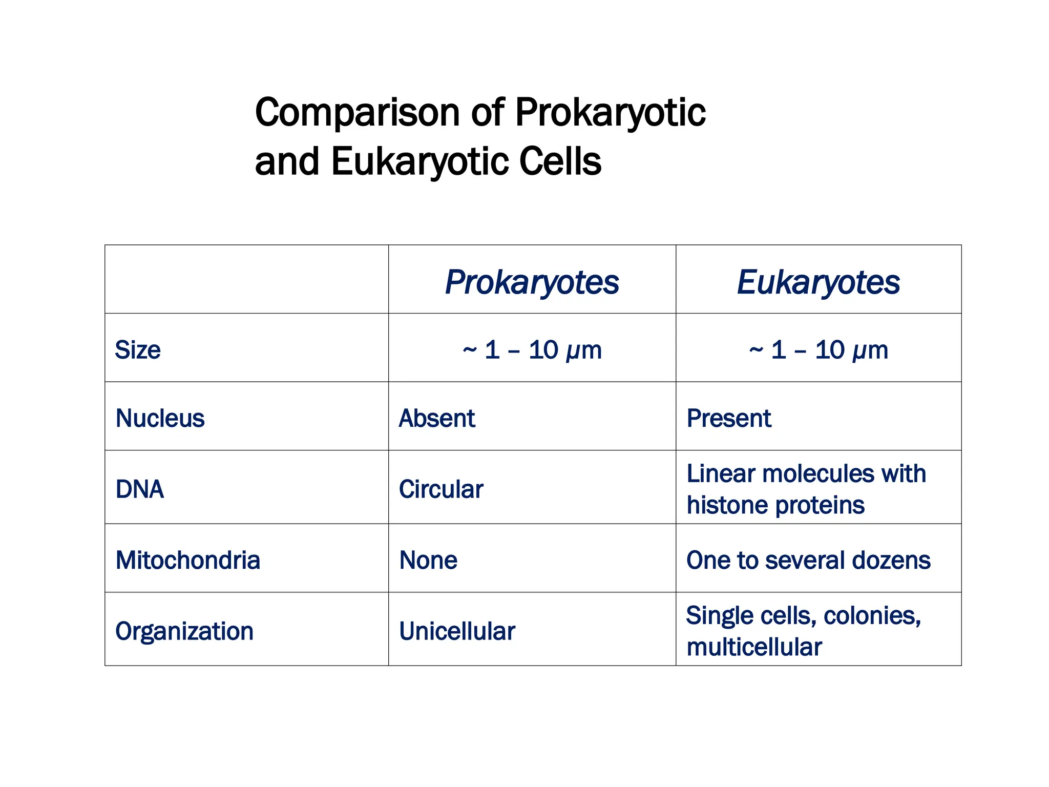 Science Lecture 2024 C. Cell Structure.ppt