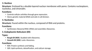 Cell structure........................... | PPT