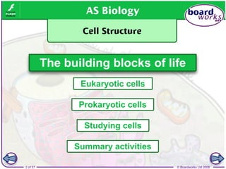 Cell_Structure Lecture about the functions and parts of cell | PPT