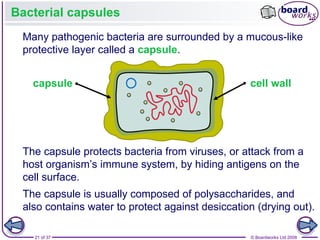 Cell_Structure Lecture about the functions and parts of cell | PPT