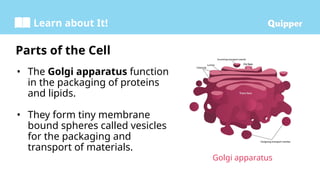 Cell structure grade 7 presentation (parts of a cell) | PPTX