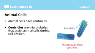 Cell structure grade 7 presentation (parts of a cell) | PPTX