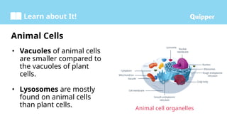Cell structure grade 7 presentation (parts of a cell) | PPTX