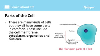 Cell structure grade 7 presentation (parts of a cell) | PPTX