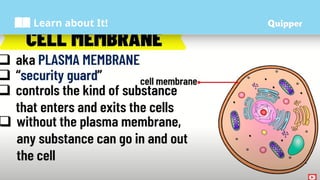 Cell structure grade 7 presentation (parts of a cell) | PPTX