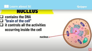 Cell structure grade 7 presentation (parts of a cell) | PPTX