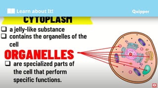 Cell structure grade 7 presentation (parts of a cell) | PPTX