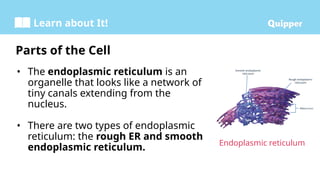 Cell structure grade 7 presentation (parts of a cell) | PPTX
