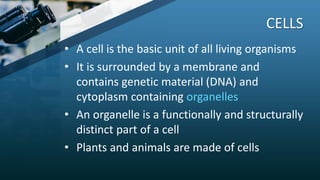 Cell Structure biological cells study.pdf
