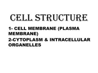 Cell structure human physiology components.pptx