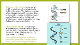 ALL ABOUT CELL STRUCTURE OF HUMAN BODY .pdf