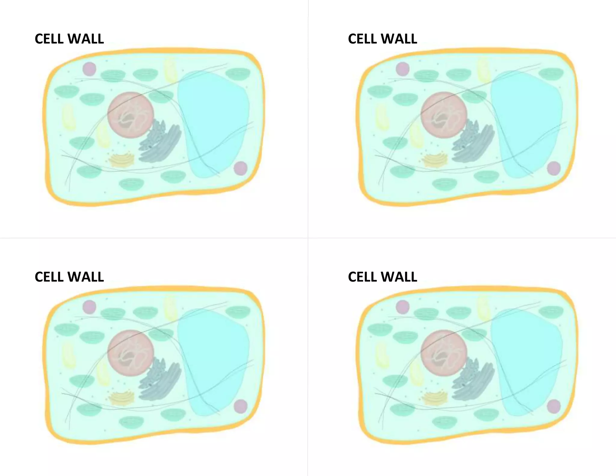 Cell structure organelle cards | PPT