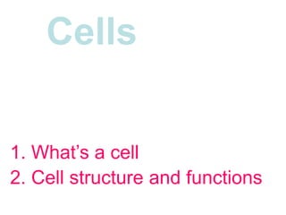 Biology & Science: Cell Structure Based on theory | PPT