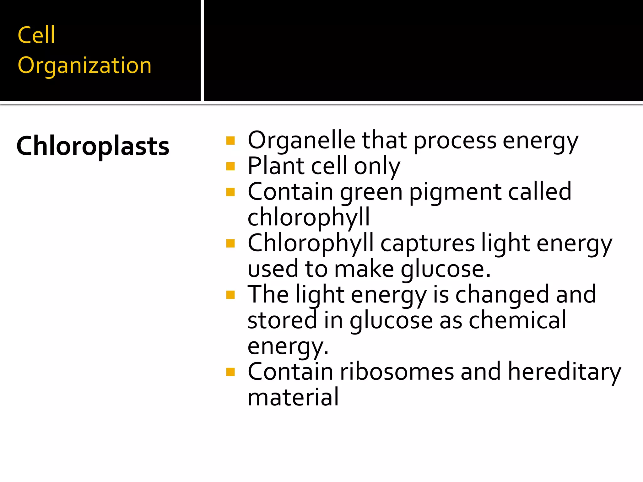 Cell structure 7th grade chapter 8 | PPT