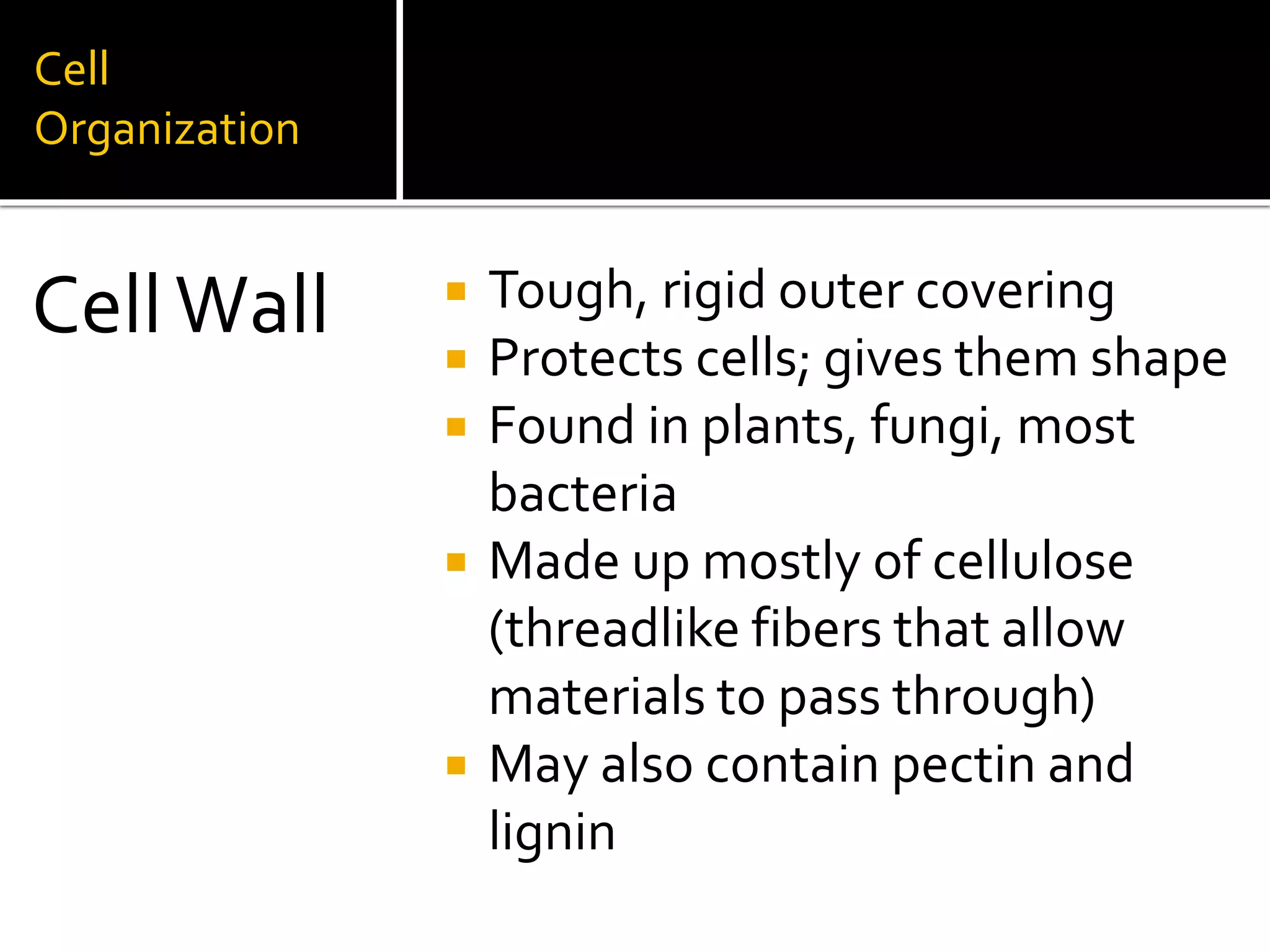 Cell structure 7th grade chapter 8 | PPT