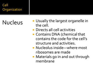 Cell structure 7th grade chapter 8 | PPT