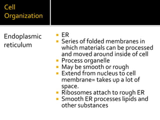 Cell structure 7th grade chapter 8 | PPT