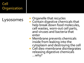 Cell structure 7th grade chapter 8 | PPT