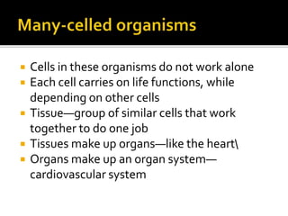 Cell structure 7th grade chapter 8 | PPTX