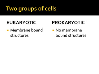 Cell structure 7th grade chapter 8 | PPT